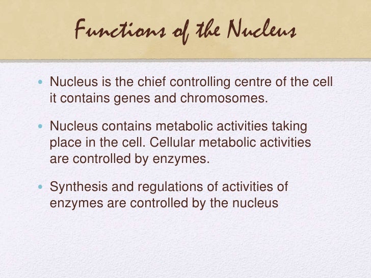 Nucleus Ppt