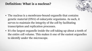 Nucleus ppt | PPT