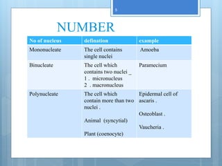 Nucleus sivaraj | PPTX