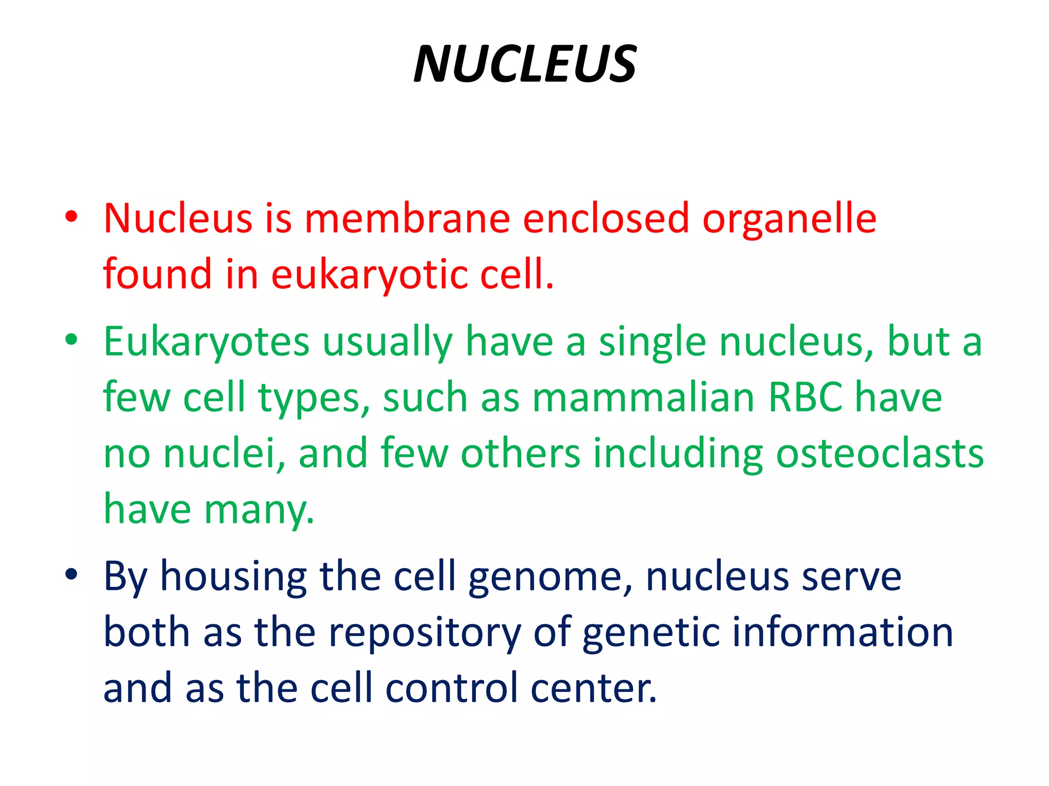 Nucleus sk | PPTX