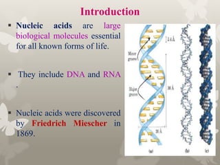 Nuclic acd sequencing by kk sahu | PPT