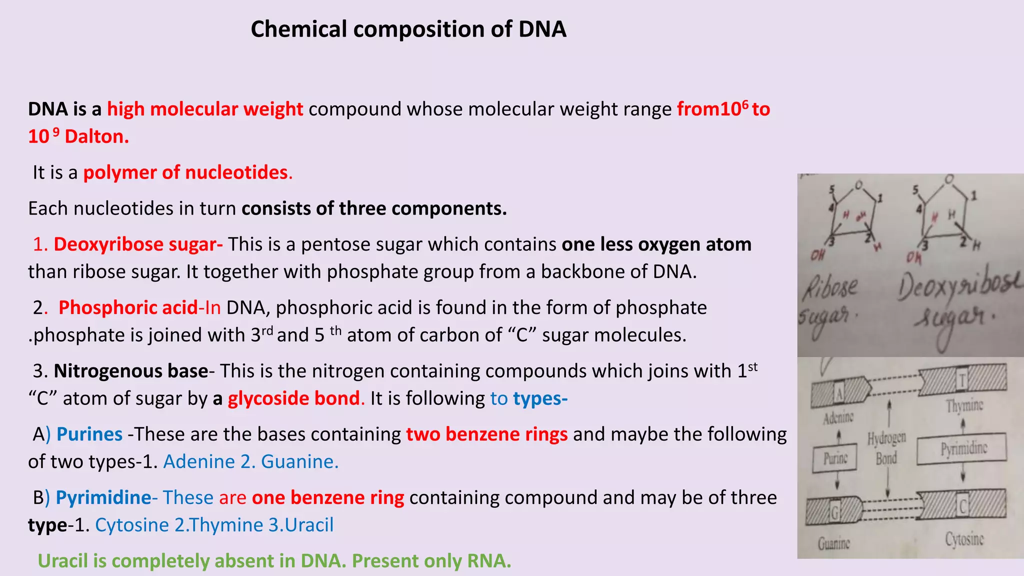Nucleic acid dna | PPTX