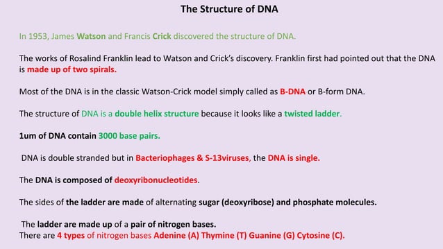 Nucleic acid dna | PPT
