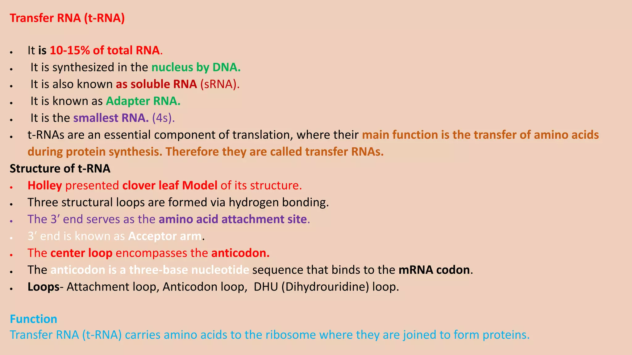Nucleic acid -RNA | PPT