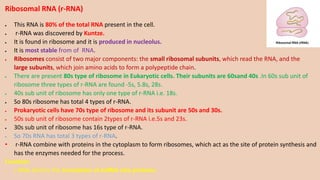 Nucleic acid -RNA | PPTX