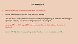 Nucleic acid -RNA | PPT