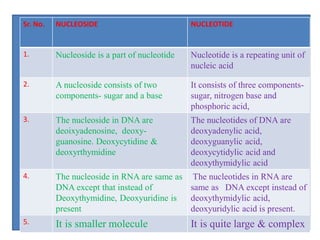 Nuclic acid-the beauty of life | PDF