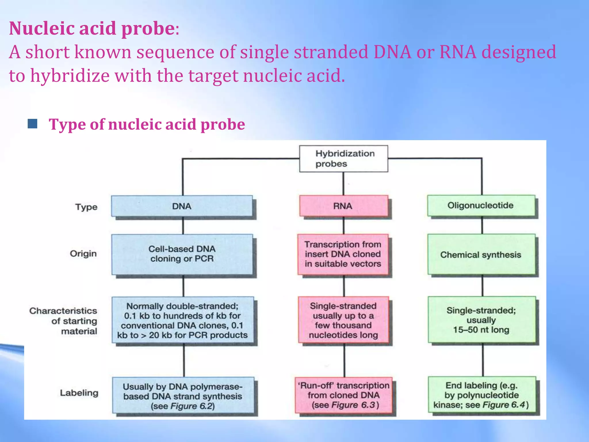 Nucleic acid hybridization by kk | PPTX | Chemistry | Science