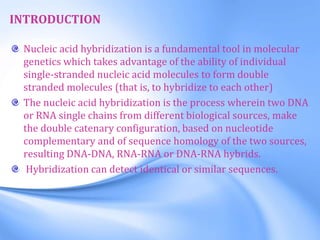 Nucleic acid hybridization by kk | PPTX | Chemistry | Science