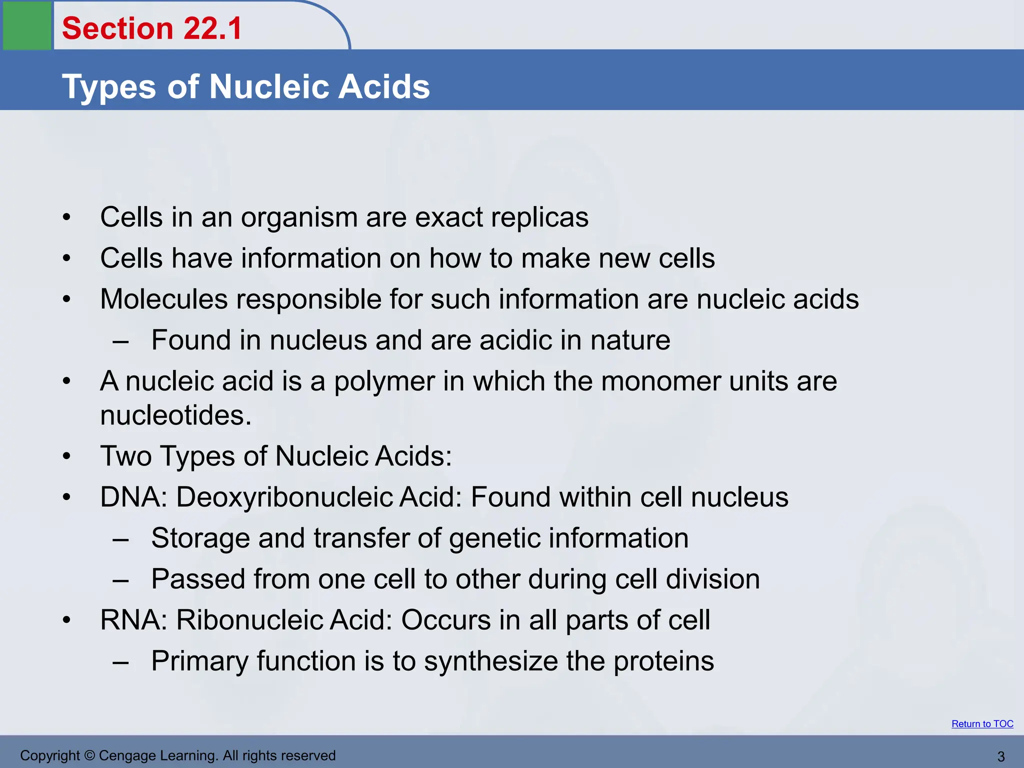 Nucliec-Acid.ppt Chapter 22. Chemistry.. | PPT