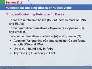 Nucliec-Acid.ppt Chapter 22. Chemistry.. | PPT