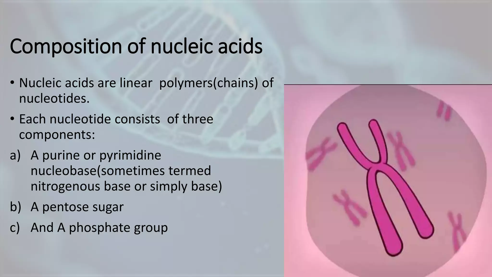 Nucliec acids | PPTX