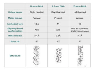 Nucliec acids and Nucleotide | PDF | Chemistry | Science