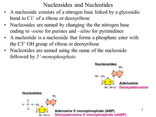 Nucliec acids and Nucleotide | PDF | Chemistry | Science