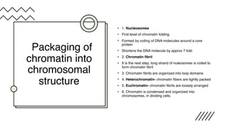 nuclues_lec 5.pdfgsdouhfsegujseughseugegr | PPT