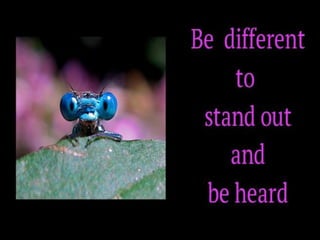 Ways to NUDGE your attitude and development to the positive side | PPT