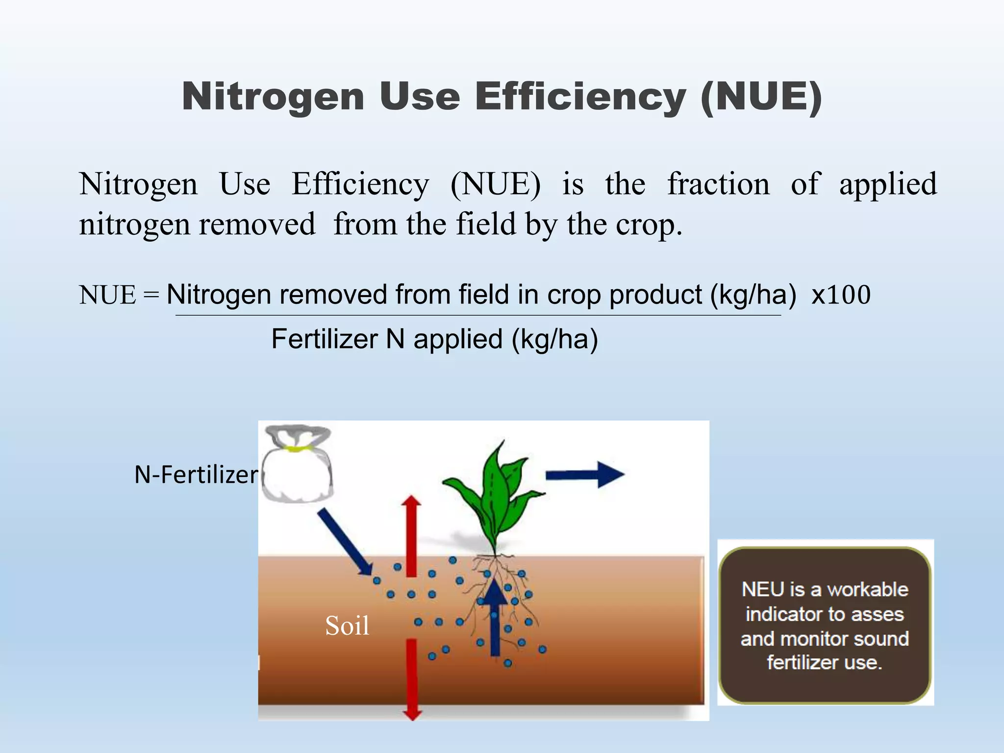 Nitrogen Use Efficiency | PPTX