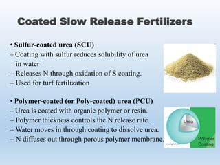 Nitrogen Use Efficiency | PPTX