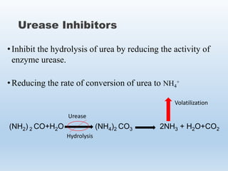Nitrogen Use Efficiency | PPTX