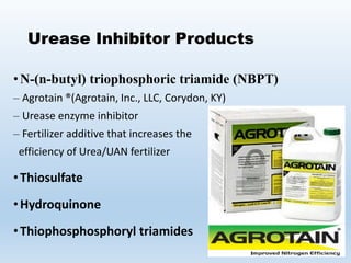 Nitrogen Use Efficiency | PPTX