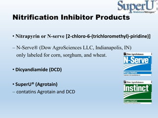 Nitrogen Use Efficiency | PPTX