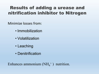 Nitrogen Use Efficiency | PPTX