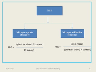 Breeding for nitrogen use efficiency in cereals | PPTX