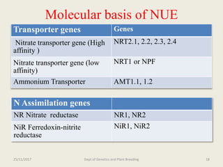 Breeding for nitrogen use efficiency in cereals | PPTX