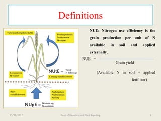 Breeding for nitrogen use efficiency in cereals | PPTX