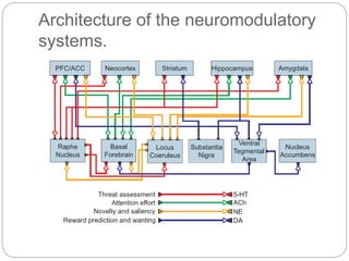 Neuromodulation | PPTX