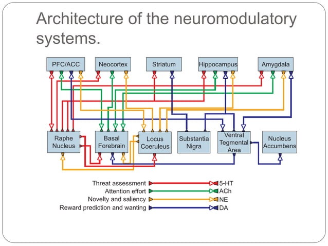 Neuromodulation | PPTX