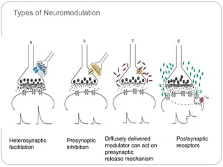 Neuromodulation | PPTX