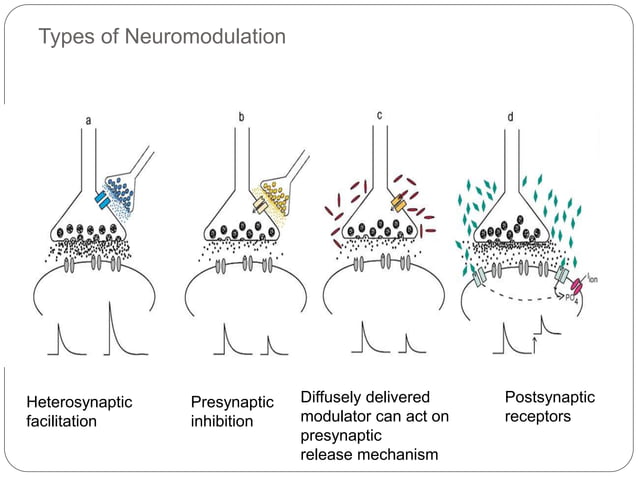 Neuromodulation | PPTX