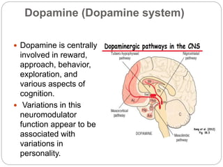 Neuromodulation | PPTX
