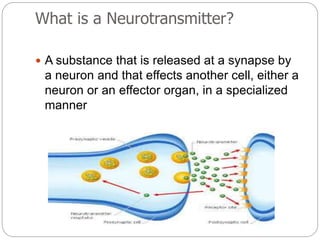 Neuromodulation | PPTX