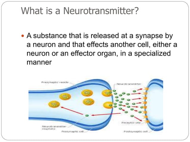 Neuromodulation | PPTX