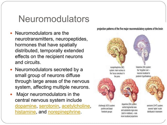 Neuromodulation | PPTX