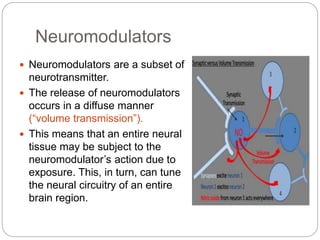 Neuromodulation | PPTX