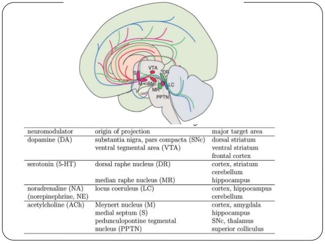 Neuromodulation