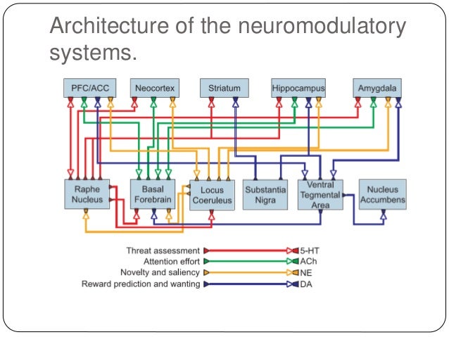 Neuromodulation