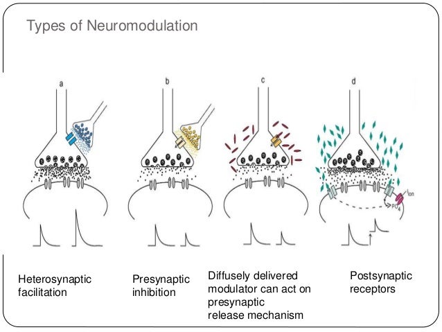 Neuromodulator Definition , Neurotransmitter und Neuromodulatoren – FHUDY
