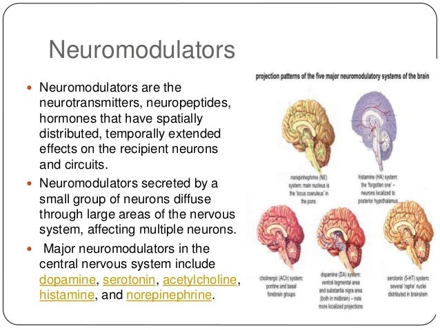 Neuromodulation