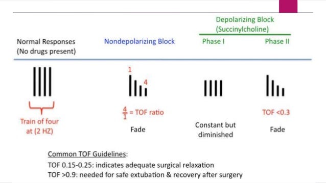 Nueromuscular monitoring