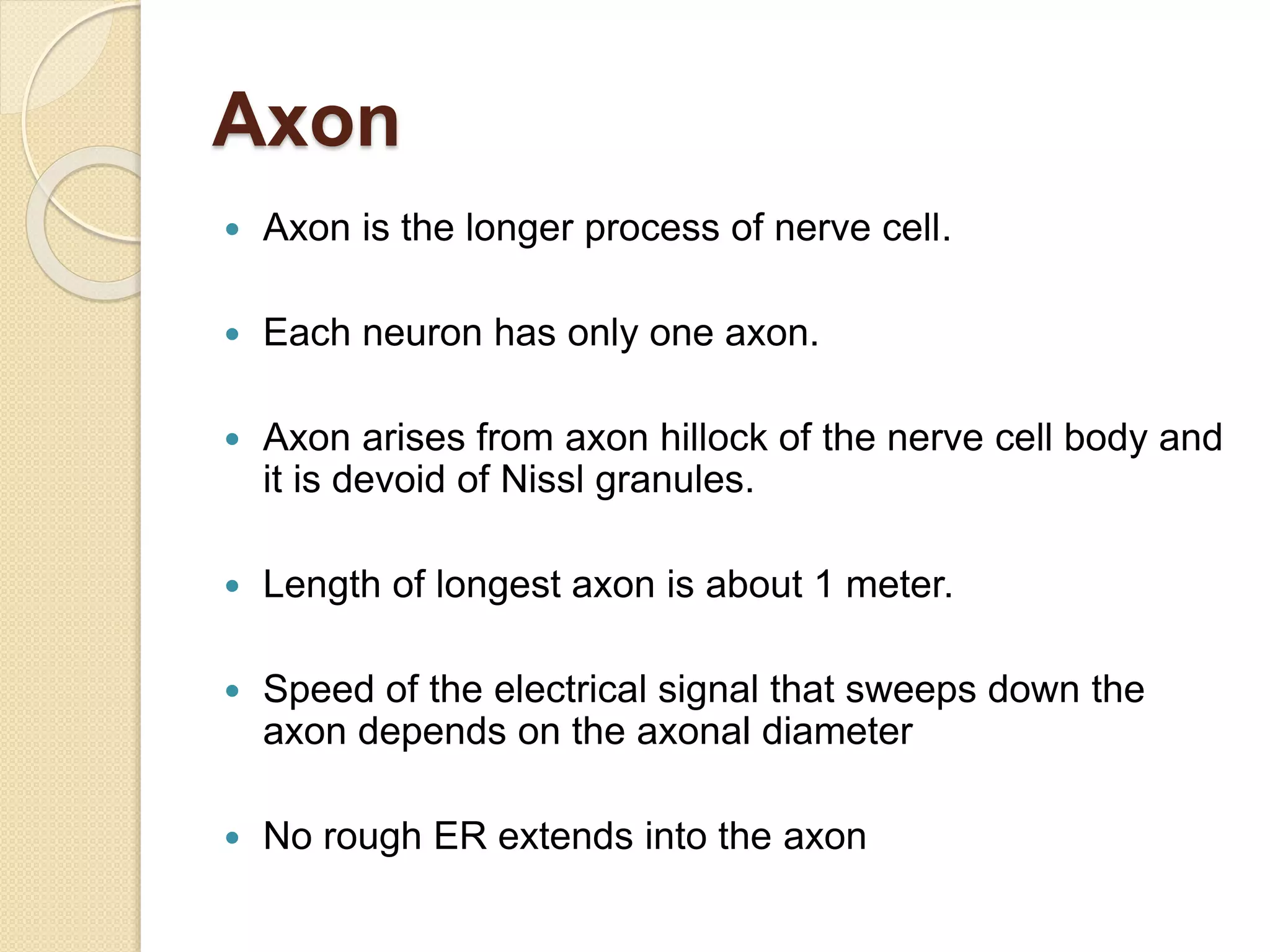 Nueron ppt | PPTX
