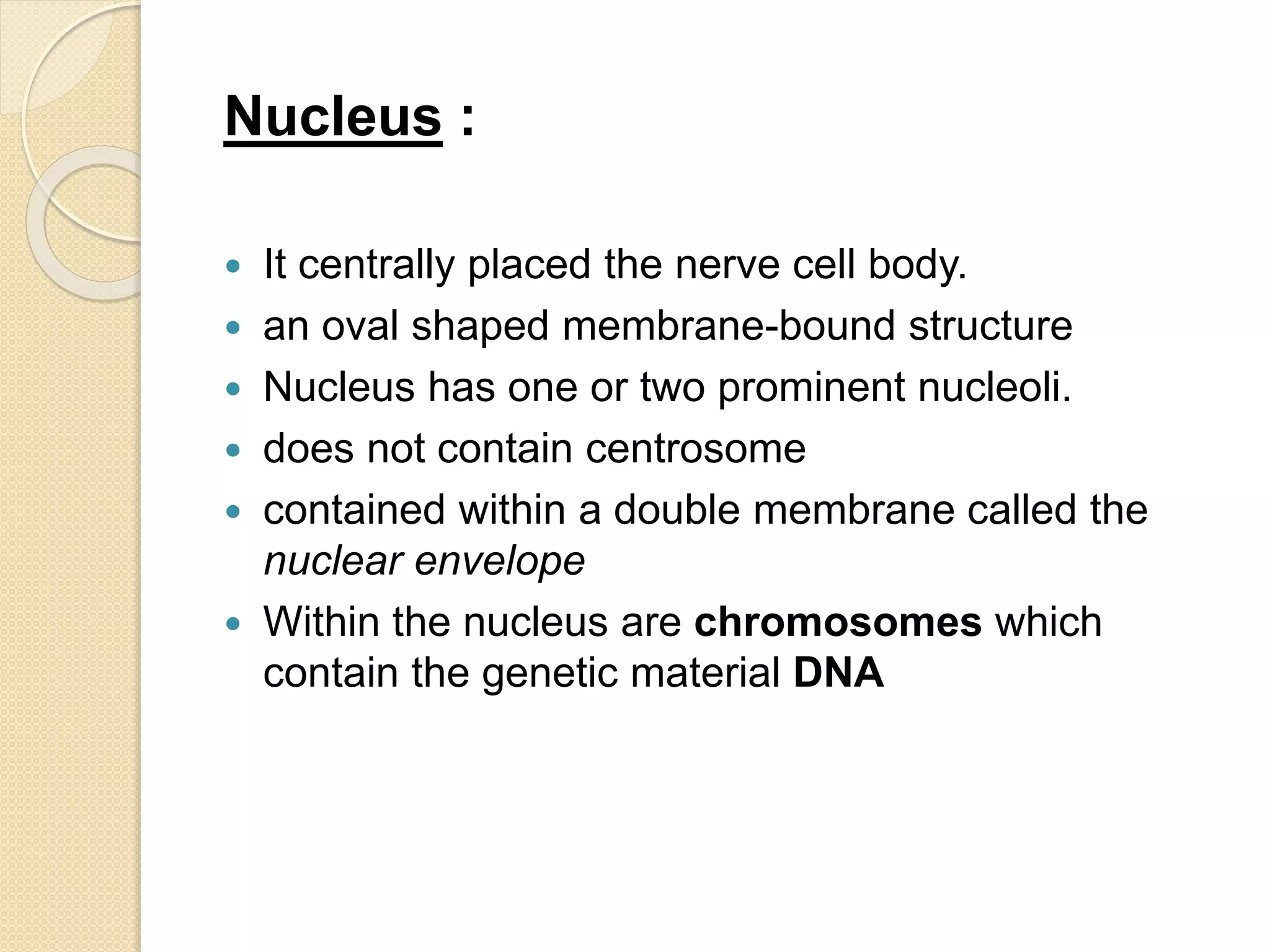 Nueron ppt | PPTX