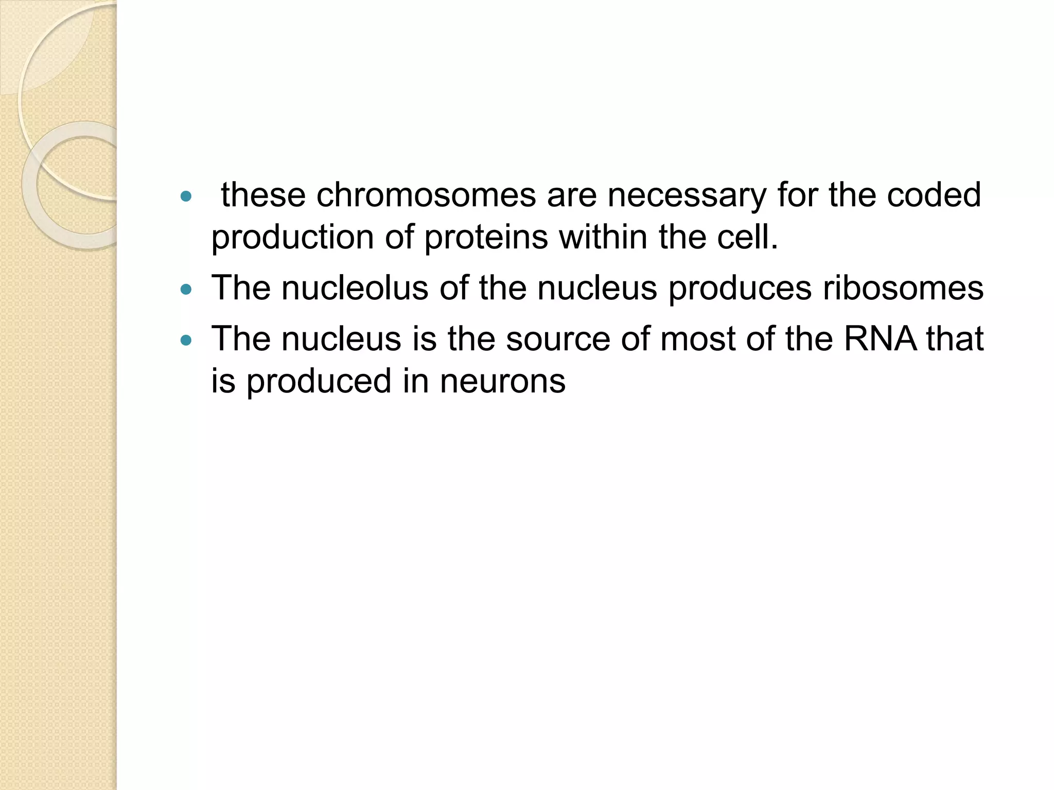 Nueron ppt | PPTX