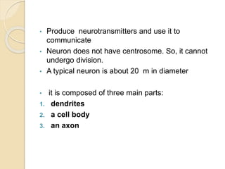 Nueron ppt | PPTX