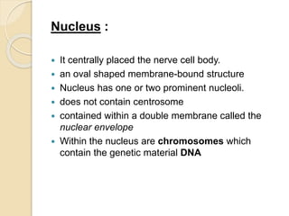 Nueron ppt | PPTX