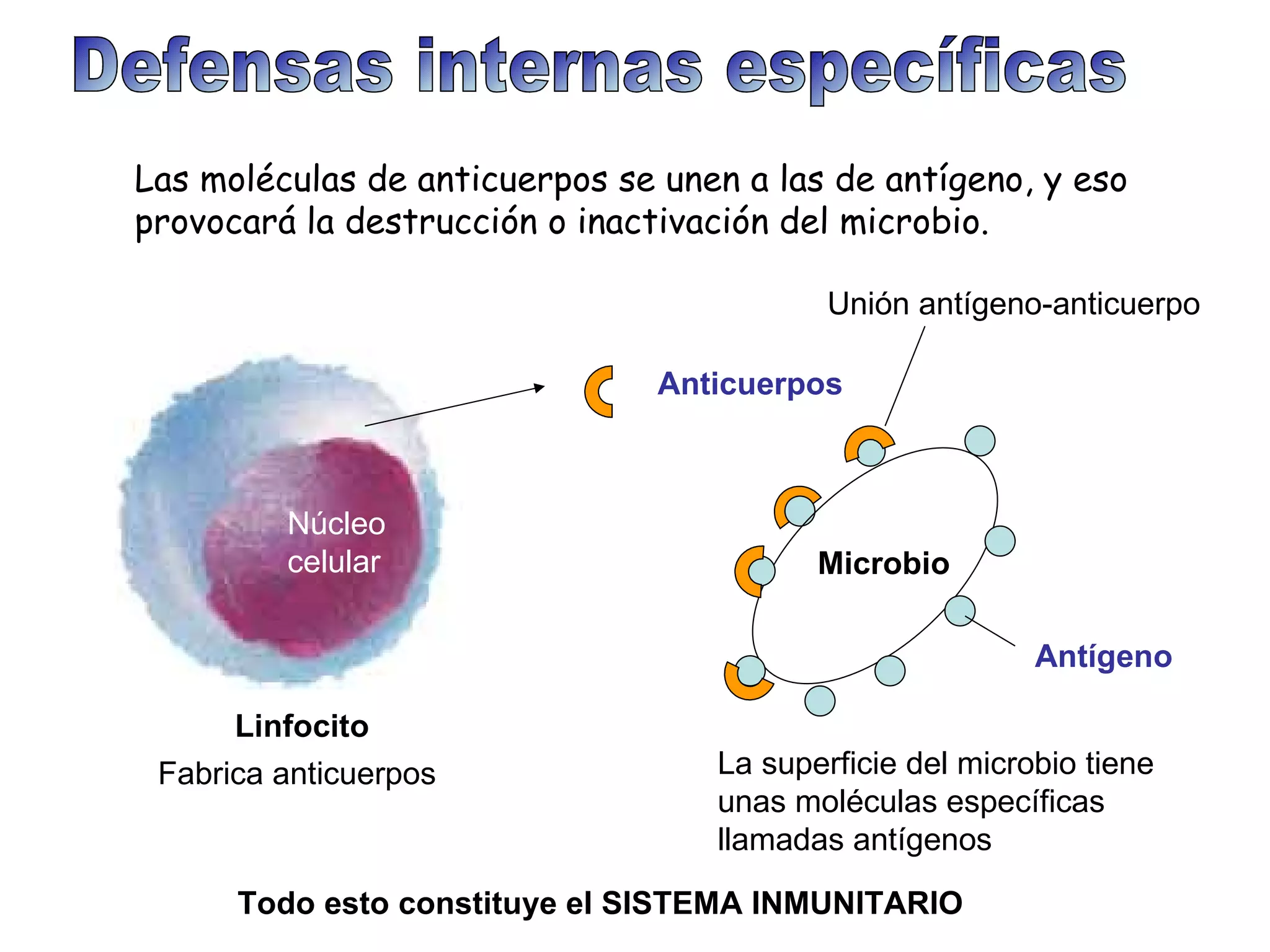 Nuestras Defensas | PPT