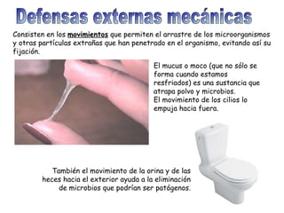 Nuestras Defensas | PPS
